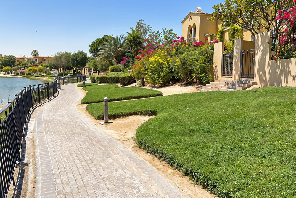 Dog Friendly Areas in Dubai: Choices for Different Breeds
