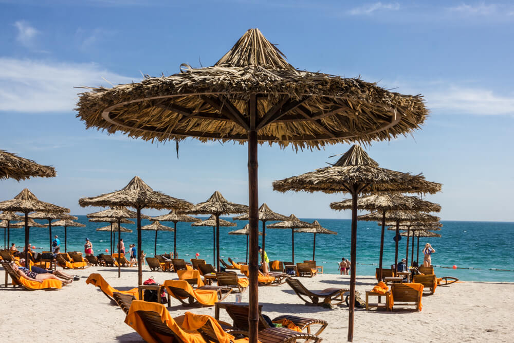 Best Things to Do in Yas Island