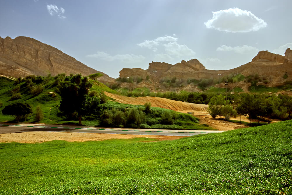 Best Things to Do in Al Ain