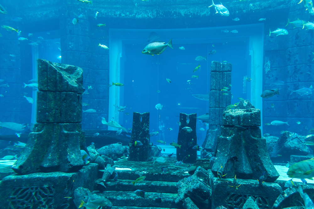 Best Things to Do in Atlantis