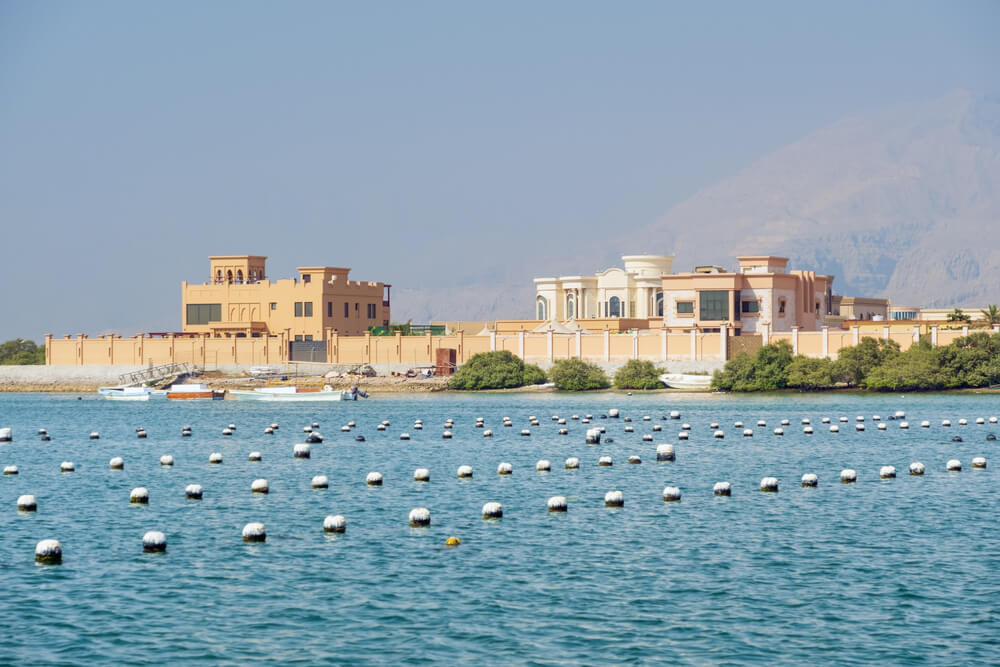 Your Full Guide to Suwaidi Pearls Farm