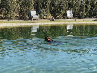 All You Need to Know About Al Awir Dubai | Property Finder