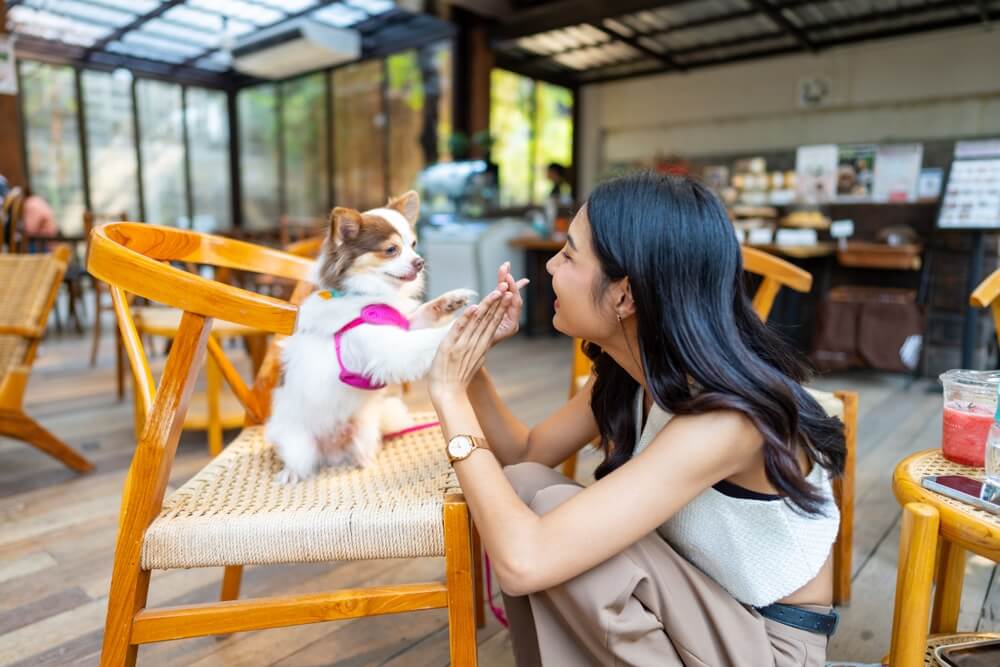 Top Pet-Friendly Communities in Dubai