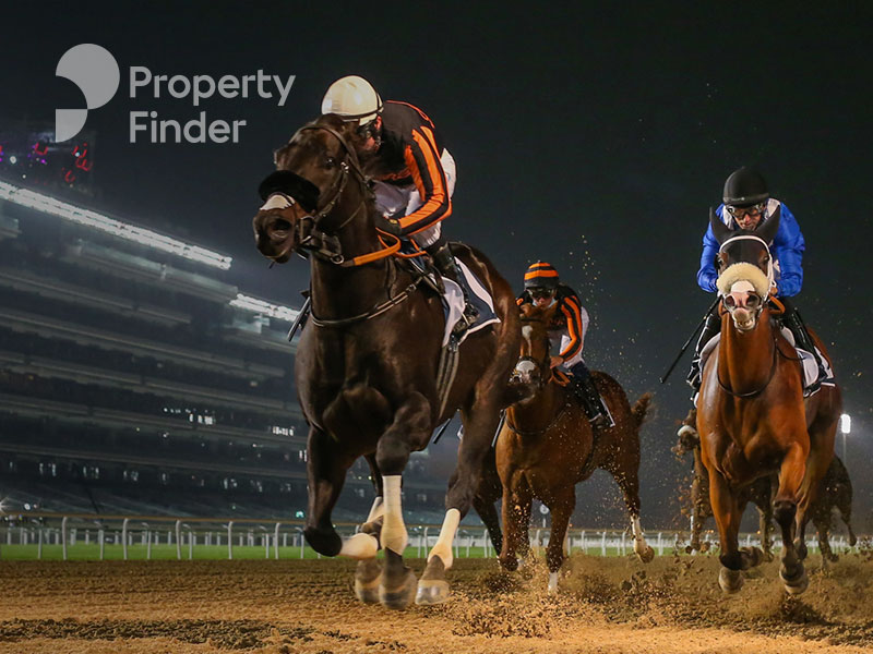 Full Guide to Emirates Racing Authority | Property Finder