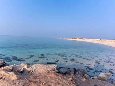 Dalma Island - Attractions and Amenities Guide | Property Finder