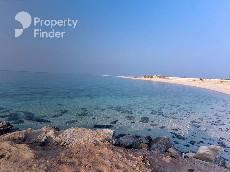 Dalma Island - Attractions and Amenities Guide | Property Finder