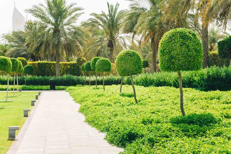 Top Landscaping Companies in Abu Dhabi