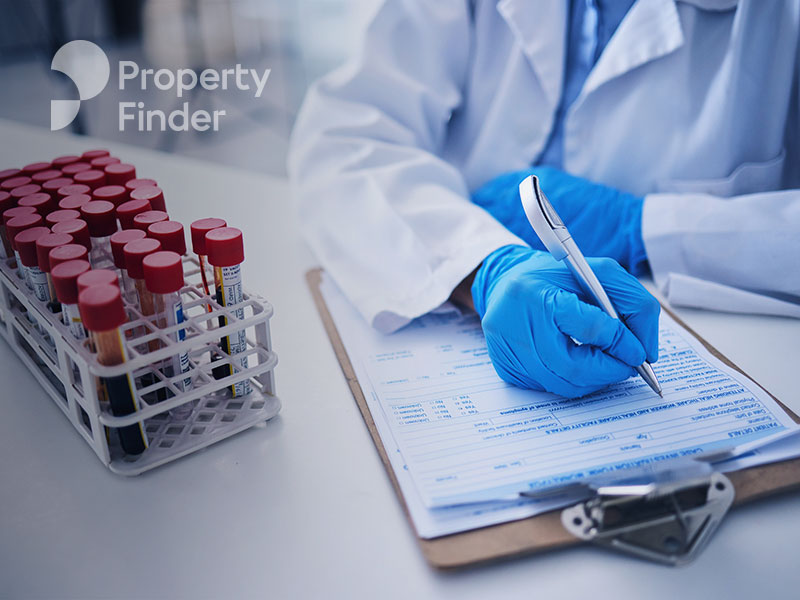 How to Check Medical Report Online in Dubai | Property Finder