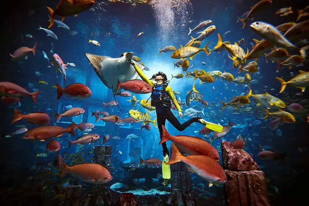 Lost Chambers Aquarium: Location, Timings and Experiences!