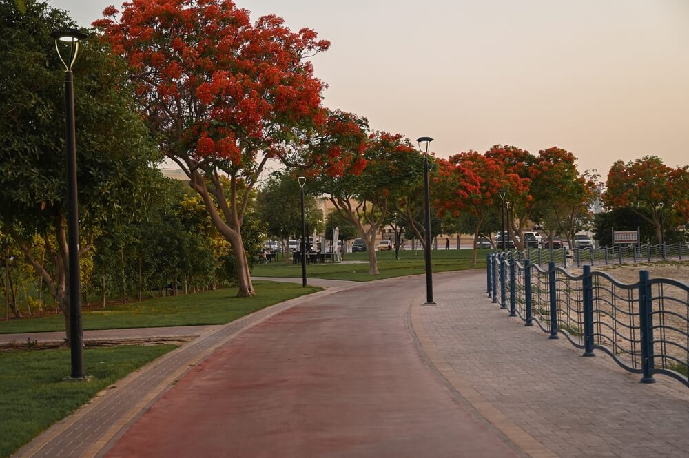 Al Rashidiya Ladies Park Ajman - A to Z Guide | Property Finder