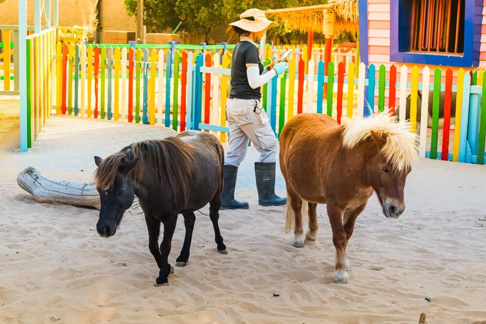 Ras Al Khaimah Zoo - Tickets and Attractions Guide