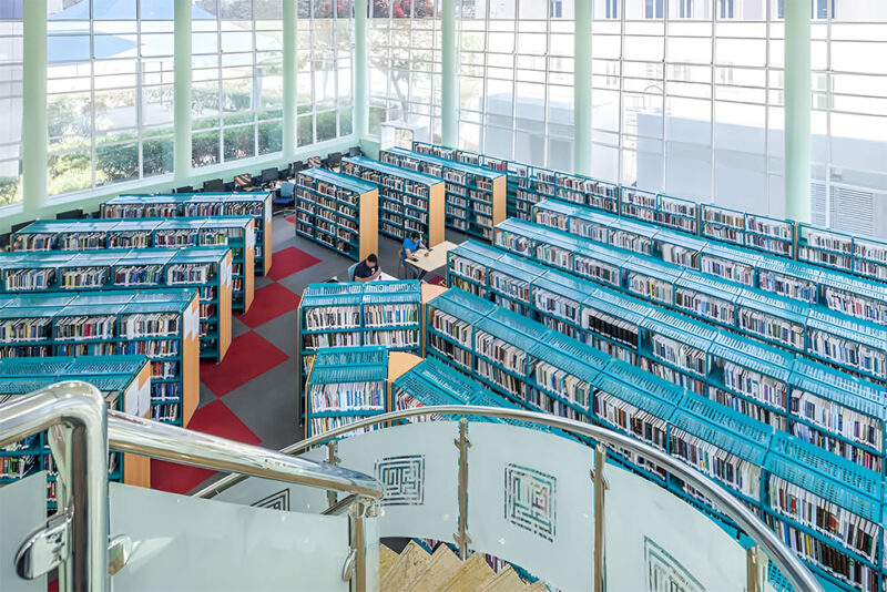 Dubai Public Library Spots: Timings, Locations and More!