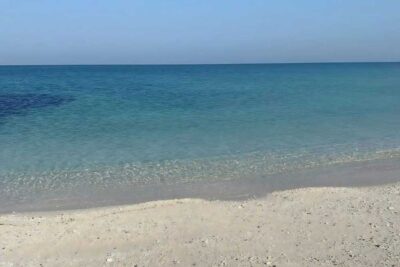 Best Beaches in Sharjah: Timings, Locations and More!