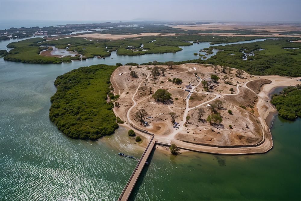 Al Zorah Natural Reserve Ajman: Location, Fees & More