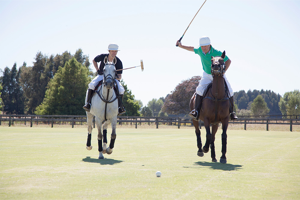 Desert Palm Polo Club: The Premier Polo Destination in Dubai