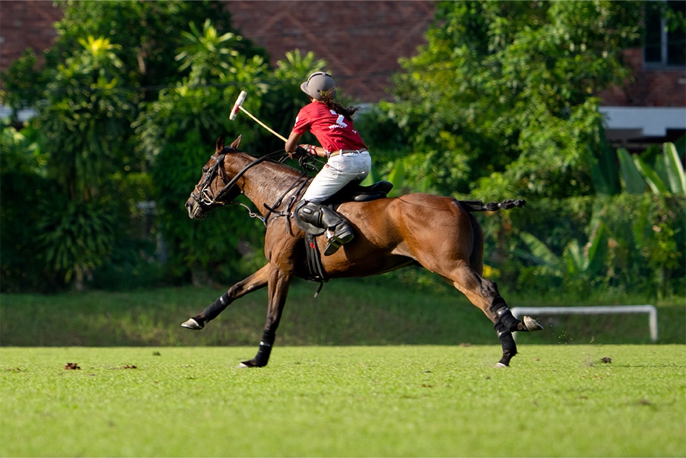 Dubai Polo and Equestrian Club