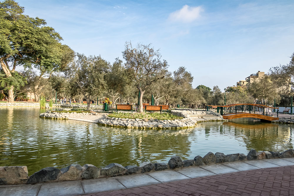 Saqr Park in RAK - A Comprehensive Guide