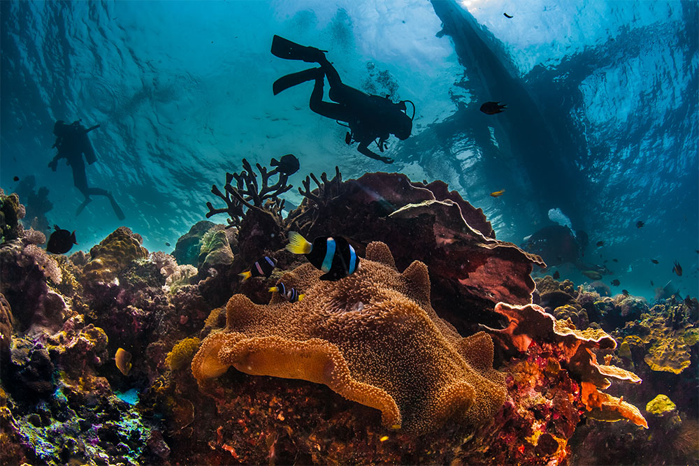 Scuba Diving UAE - A Comprehensive Guide