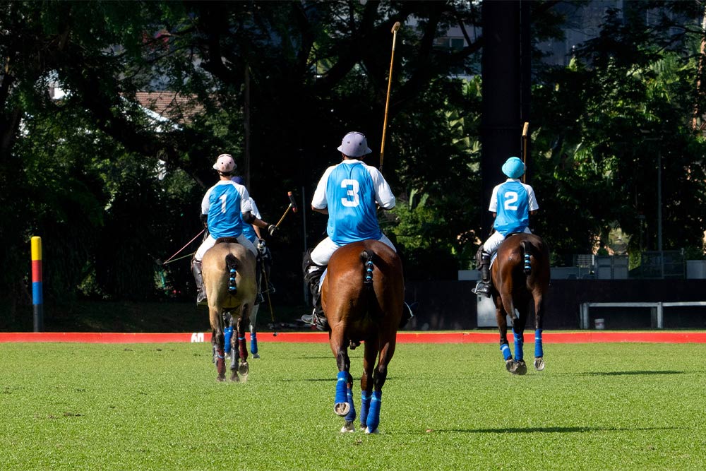 Best Polo Club Dubai: Location, Contacts and More