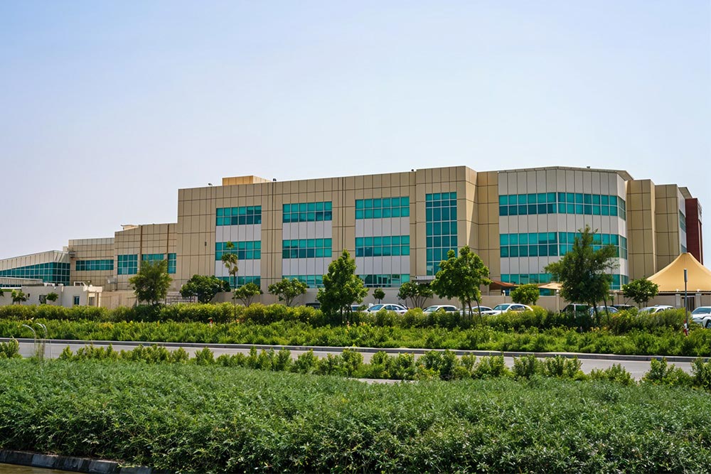 MBZ City Vs Khalifa City - What Is the Best Choice?