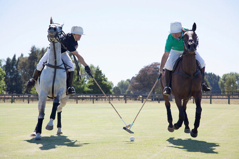 Best Polo Club Dubai: Location, Contacts and More