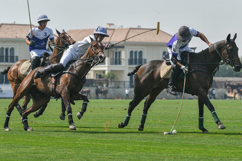 Best Polo Club Dubai: Location, Contacts and More