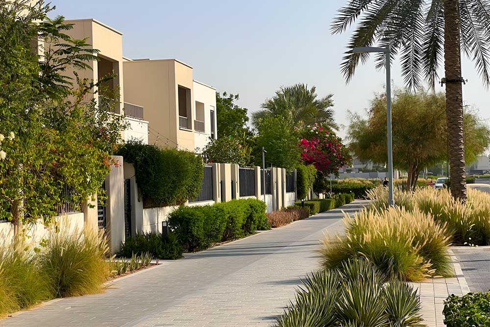 All About the Pros and Cons of Living in Town Square