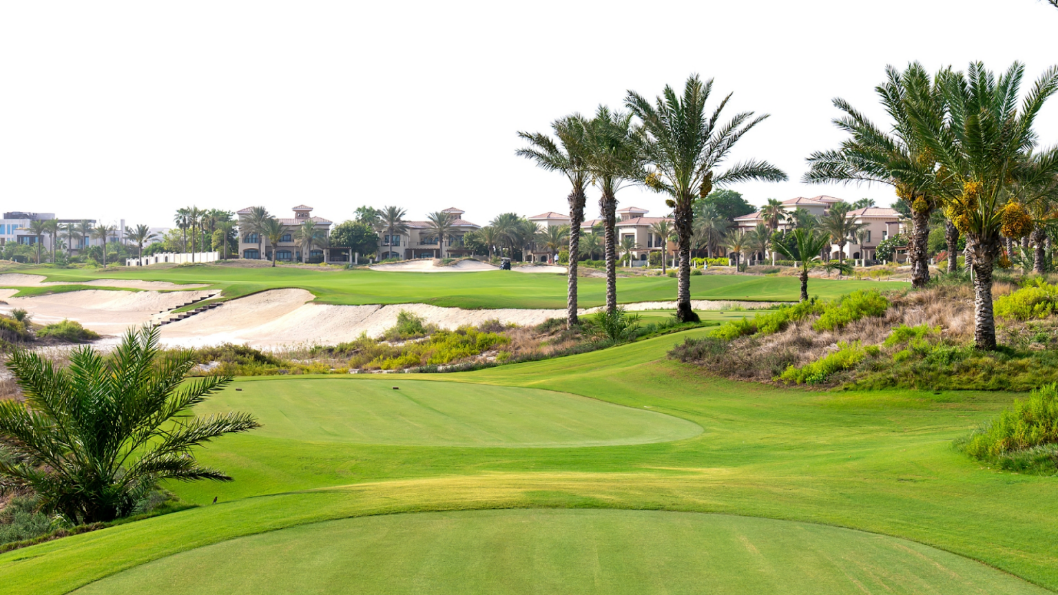 Things to Do in Saadiyat Island - Your Complete Guide