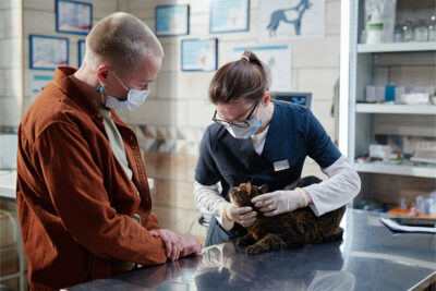 RAK Animal Welfare Centre : Location, Services and More