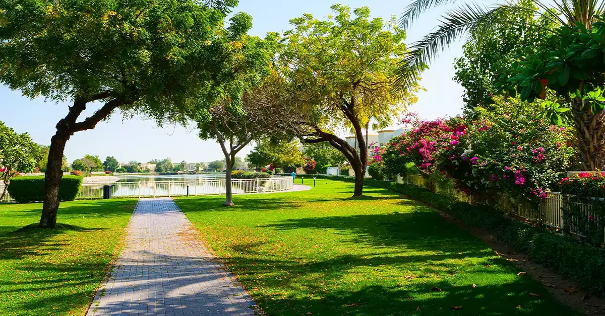 Hor Al Anz Park: Location, Activities & More
