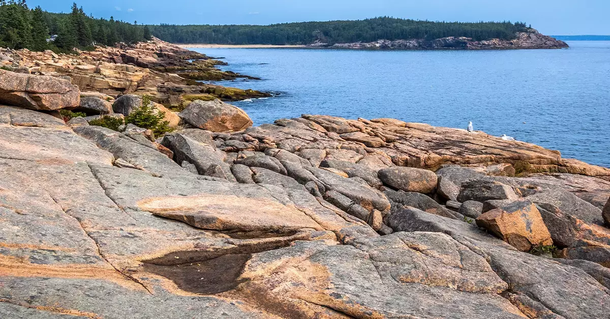 Jazirat Badiyah: Location, Things to Do and More