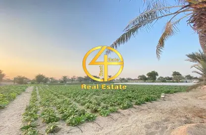 Farms for sale in UAE - 142 farms for sale | Property Finder UAE