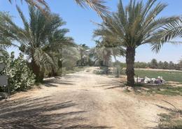 Farms for sale in UAE - 171 farms for sale | Property Finder UAE