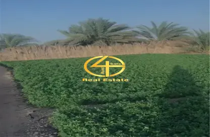Farms for sale in UAE - 139 farms for sale | Property Finder UAE