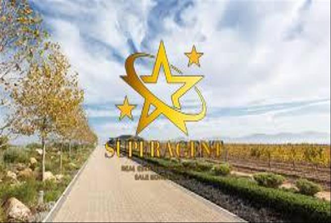 Sale in Al Khatim: Farm with the ring on the main street for sale ...