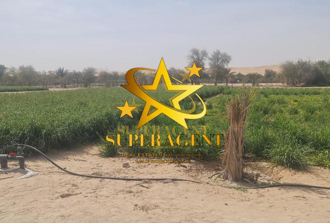 Sale in Al Khatim: Premium Farm for Sale in Abu Dhabi – Al-Khatm Dahaan ...