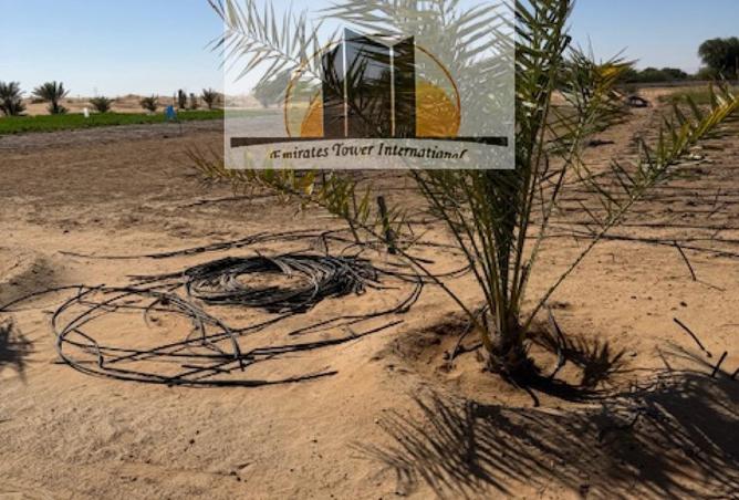 Sale in Al Khatim: عزبه للبيع مشيرف | Property Finder