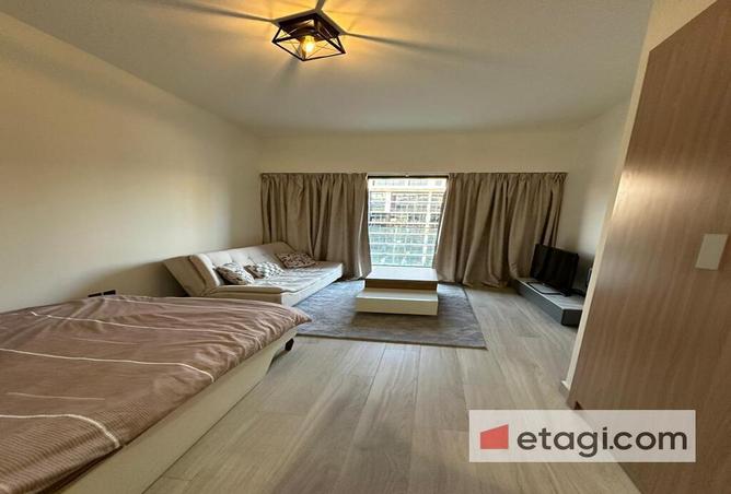 Rent in AZIZI Riviera 34: Fully Furnished | Negotiable | Ready To Move ...