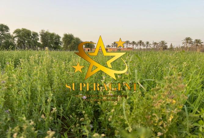 Sale in Al Khatim: Farm in Al khatim abu dubai | Property Finder