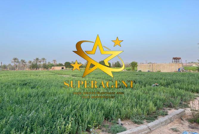 Sale in Al Khatim: Farm in Al khatim abu dubai | Property Finder