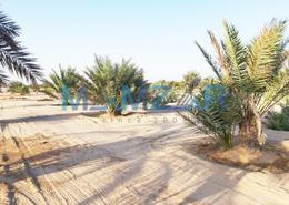 Farms for sale in UAE - 86 farms for sale | Property Finder UAE