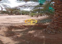 Farms for sale in UAE - 156 farms for sale | Property Finder UAE