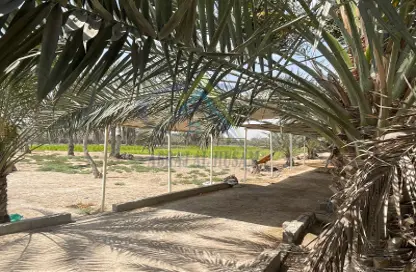 Farms for sale in Abu Dhabi - 100 farms for sale | Property Finder UAE