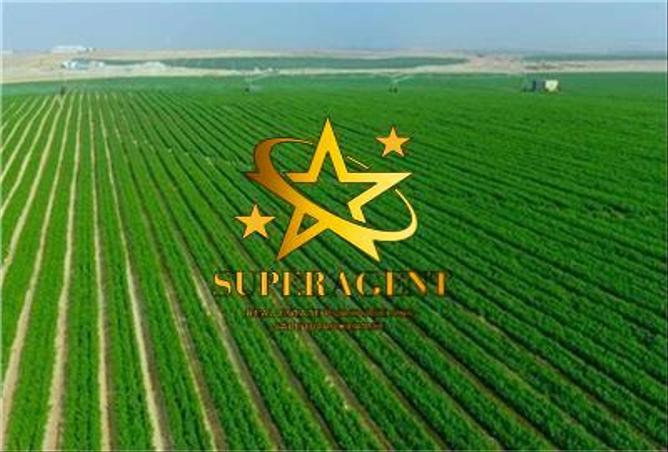 Sale in Al Khatim: For sale, a very distinctive farm in the Al Khatam ...
