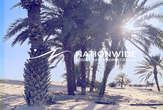 Farms for sale in Al Khatim - 10 farms for sale | Property Finder UAE